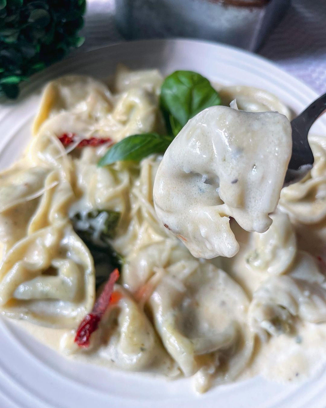 Family-Size Frozen Gluten-Free Spinach & Cheese Tortelloni, 16oz ...